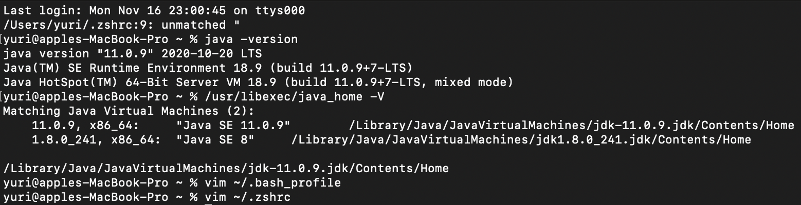 mac java version 확인하기 (+java 11 설치)